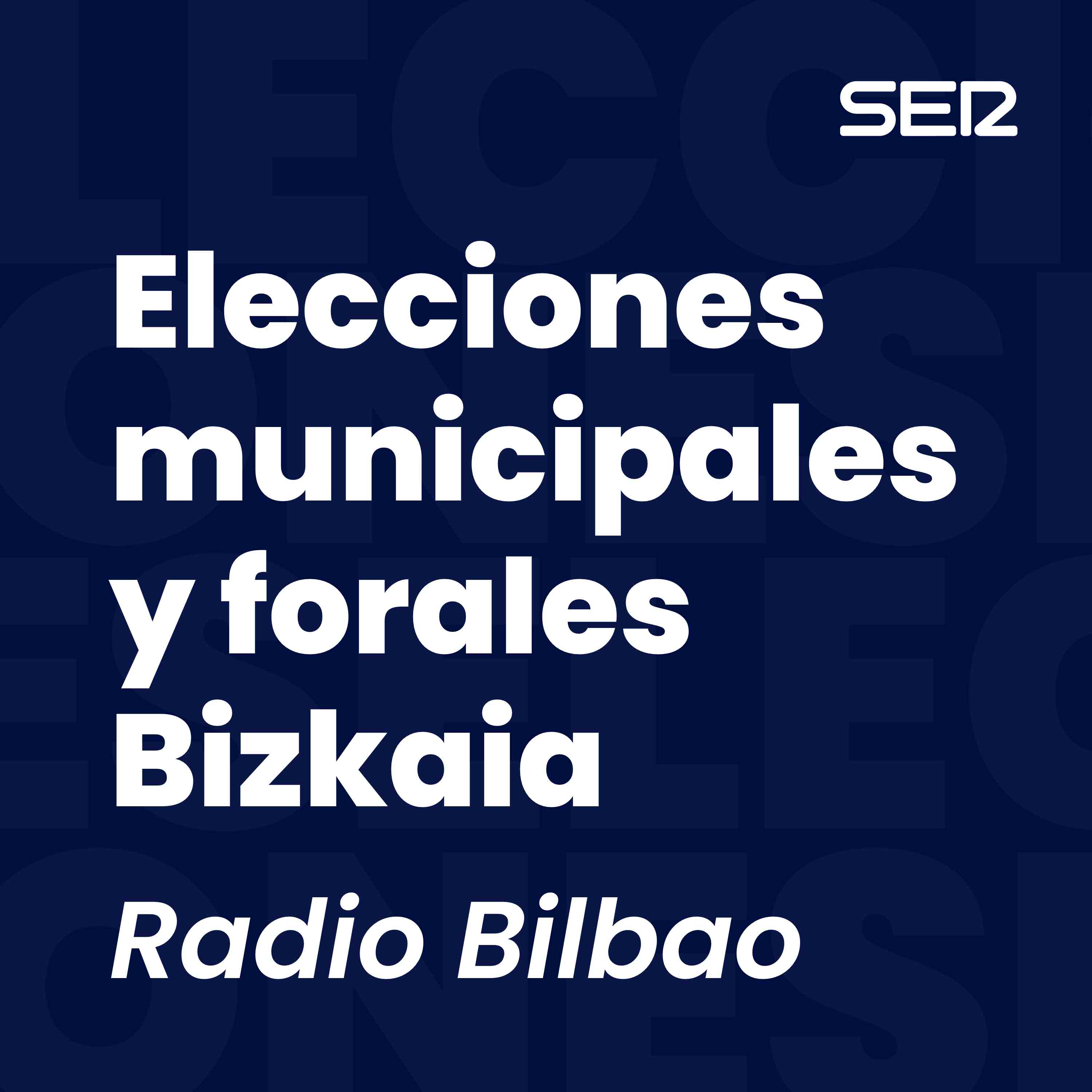 Mikel Torres, secretario general del PSE en Bizkaia, valora los ...